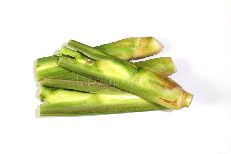 Enlarged Wild Rice Stem in a White Background. Stock Image - Image of ...