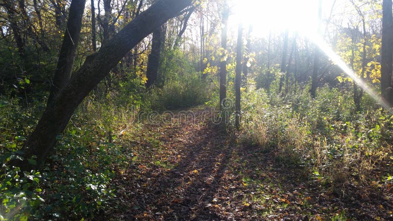 Enlightened Path stock image. Image of entering, path - 116415311