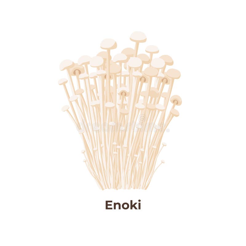 Enoki Mushrooms Stock Illustrations – 779 Enoki Mushrooms Stock ...