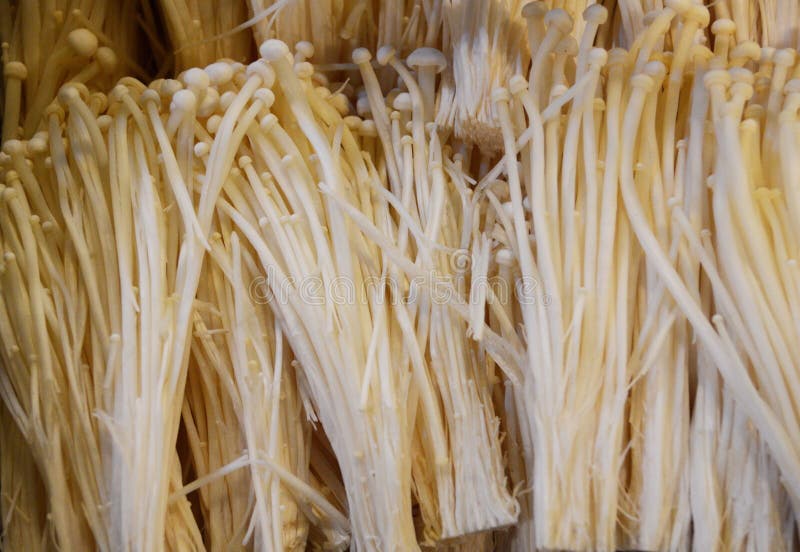 Enoki mushrooms editorial image. Image of fresh, vegetables - 46703935