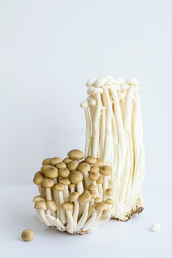 Enoki and Shimeji Edible Mushrooms on White Stock Photo - Image of grow ...