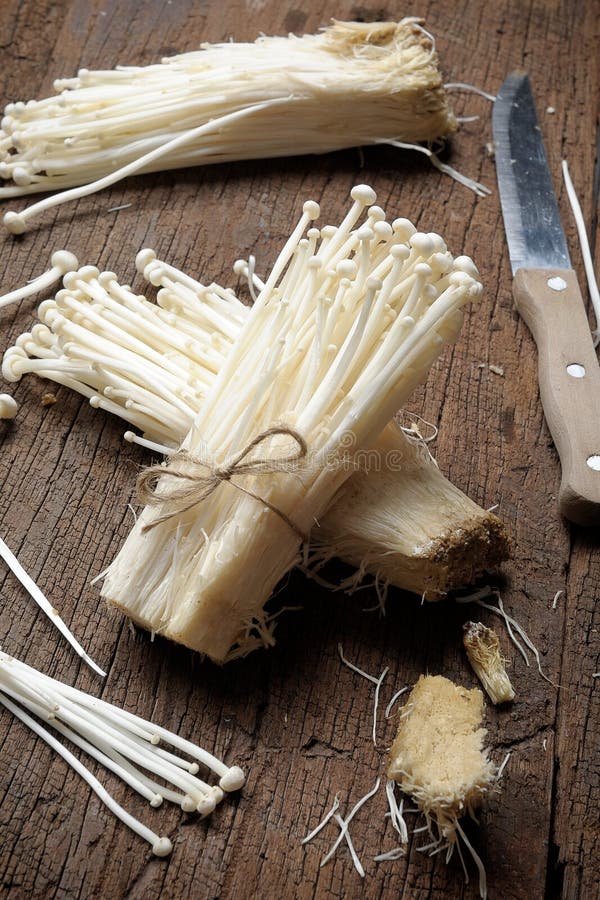 Enokitake Stock Photos - Download 803 Royalty Free Photos