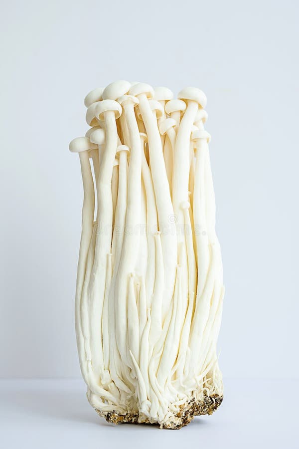 Enokitake Mushrooms on White Stock Photo - Image of exotic, edible ...
