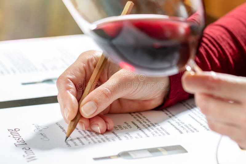 Enologist Writing Notes on Red Wine Evaluation. Stock Image - Image of ...