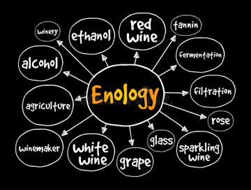 Enology Stock Illustrations – 498 Enology Stock Illustrations, Vectors ...