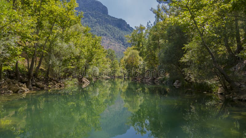 Enormous Enchanting Reflections with Plane Trees at the River Source ...