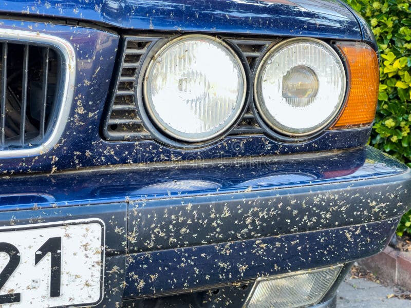 Enourmous Amount of Insects Swatted on Front Part of Car after Fast ...