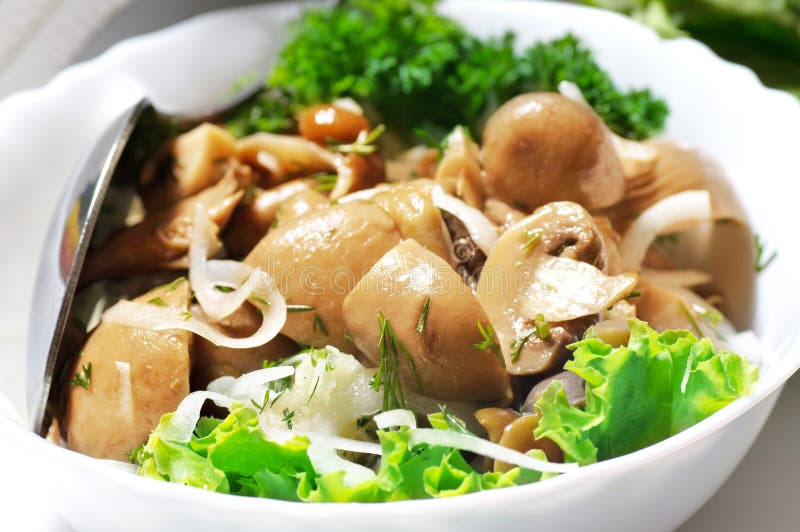 Ensalada Adobada De La Seta Imagen de archivo - Imagen de alimento ...