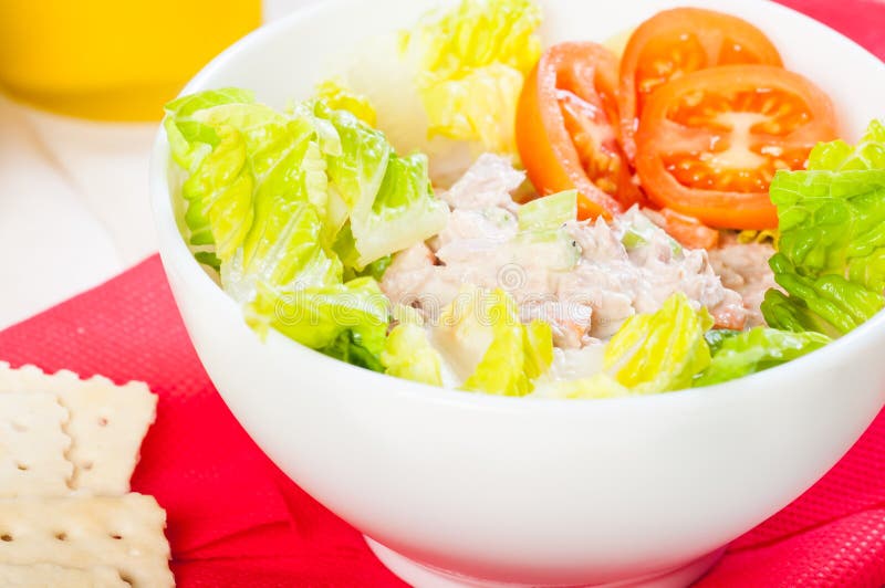 Ensalada De Atún Con Las Galletas Imagen de archivo - Imagen de omega ...