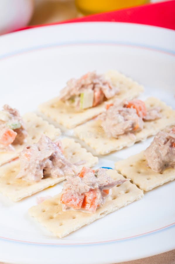 Ensalada De Atún Con Las Galletas Imagen de archivo - Imagen de omega ...