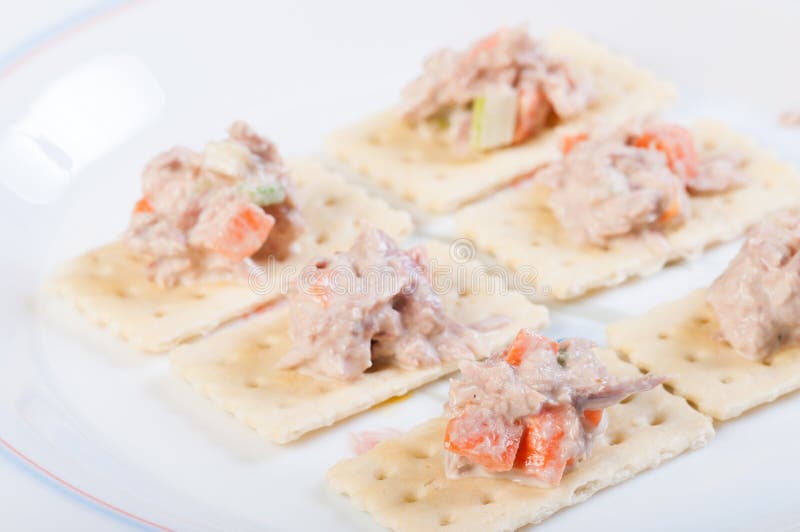 Ensalada De Atún Con Las Galletas Imagen de archivo - Imagen de omega ...