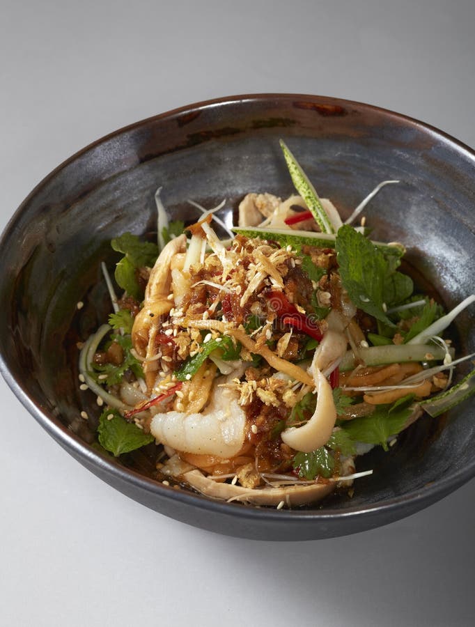 Ensalada De Medusas Haepari Naengchae Estilo De Comida Corea Imagen de ...