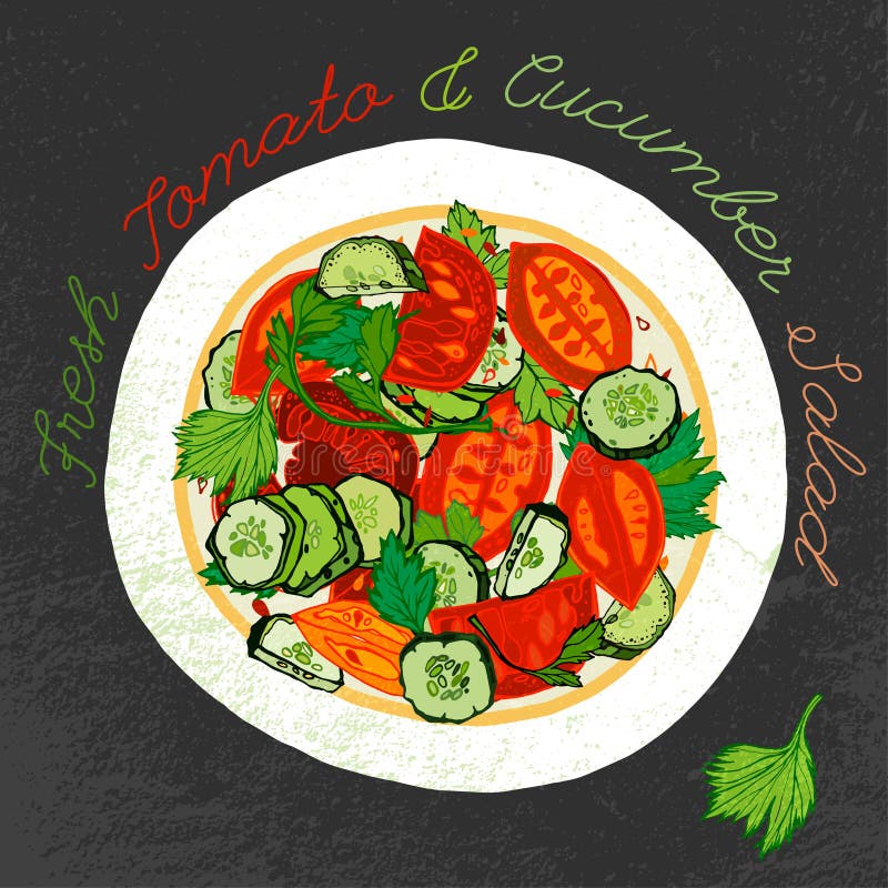 Ensalada dibujada mano ilustración del vector. Imagen de eating - 77799190