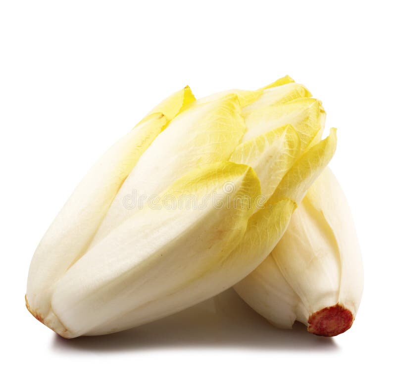 Ensalada Fresca De La Endibia En El Fondo Blanco Foto de archivo ...