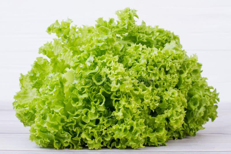 Ensalada Rizada Verde Fresca De La Lechuga Foto de archivo - Imagen de ...