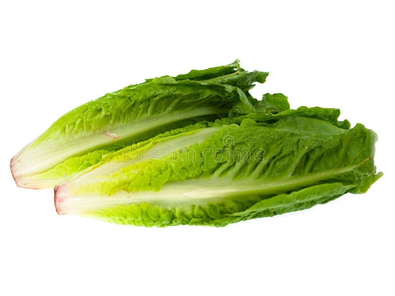 Hojas Romanas De La Lechuga De La Ensalada Foto de archivo - Imagen de ...