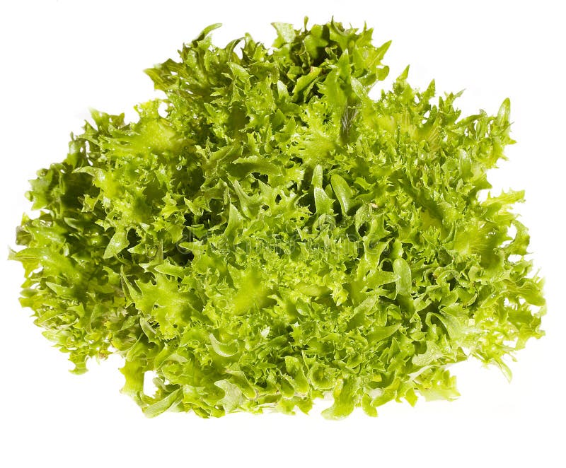 Ensalada verde fresca imagen de archivo. Imagen de comer - 9298659