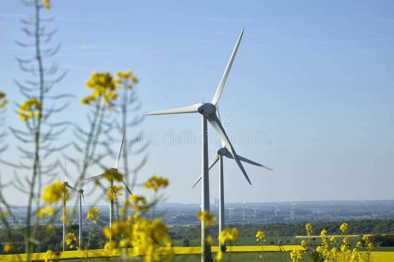Ense, NRW, Germany, 04 29 2025, Wind Generator, Blooming Rapeseed ...