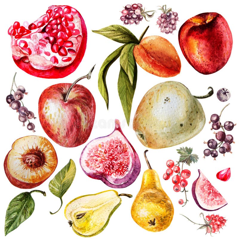 Ensemble De Fruits De Dessin D'aquarelle Illustration de Vecteur ...