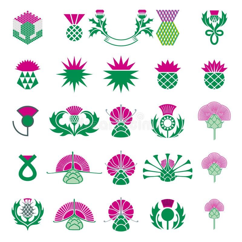 Fleur De Chardon - Le Symbole De L'Ecosse Illustration de Vecteur ...