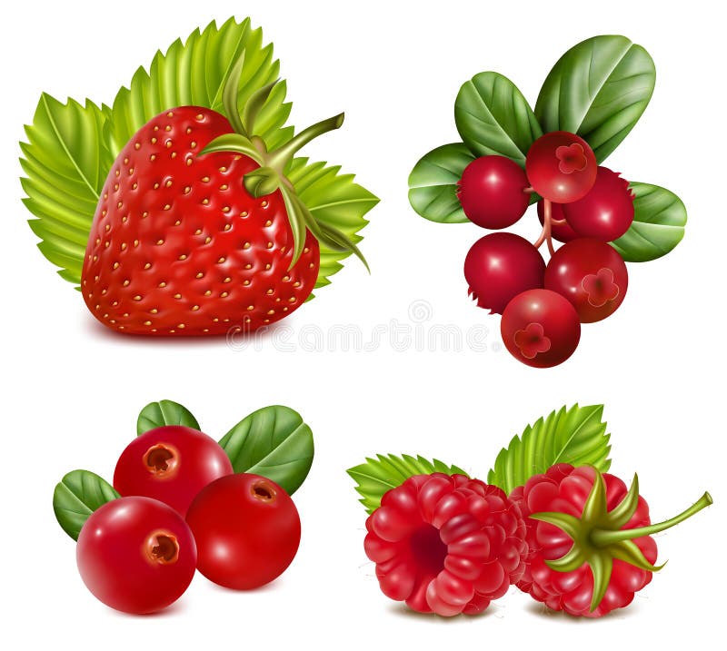 Ensemble De Baies Rouges Avec Des Lames. Illustration de Vecteur ...