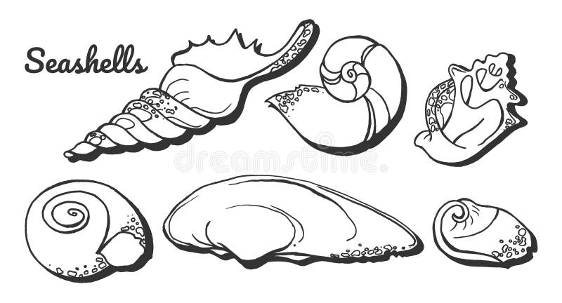 Mollusque Stock Illustrations, Vecteurs, & Clipart – (15,526 Stock ...