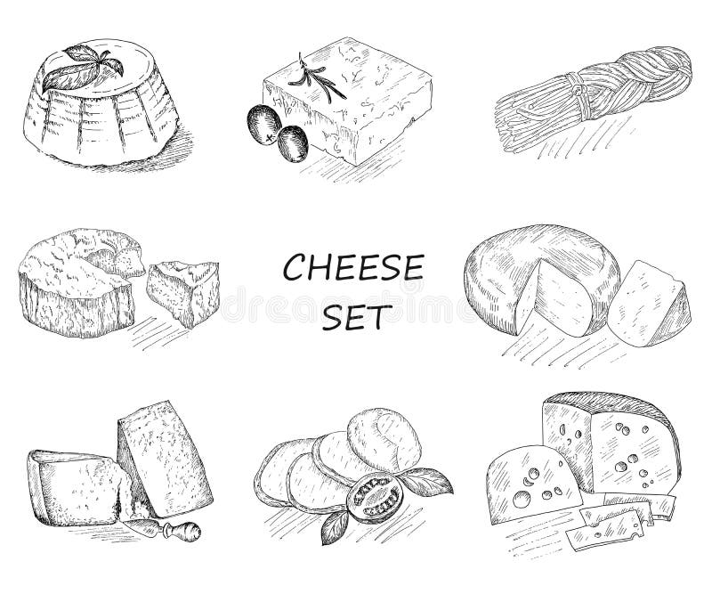 Ensemble De Croquis De Fromage Illustration de Vecteur - Illustration ...
