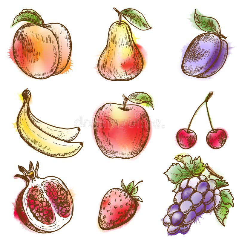Fruits De Page De Livre De Coloriage Illustration de Vecteur ...