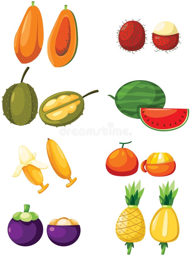 Ensemble De Fruits Exotiques Illustration de Vecteur - Illustration du ...