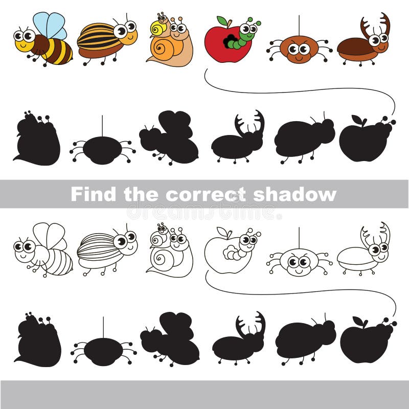Ensemble De Petits Insectes Drôles Trouvez L'ombre Correcte ...