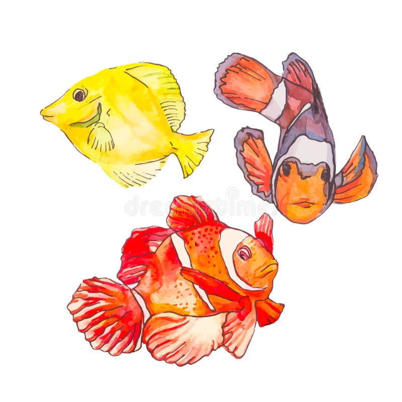 Ensemble De Poissons Tropicaux Illustration Stock - Illustration du ...