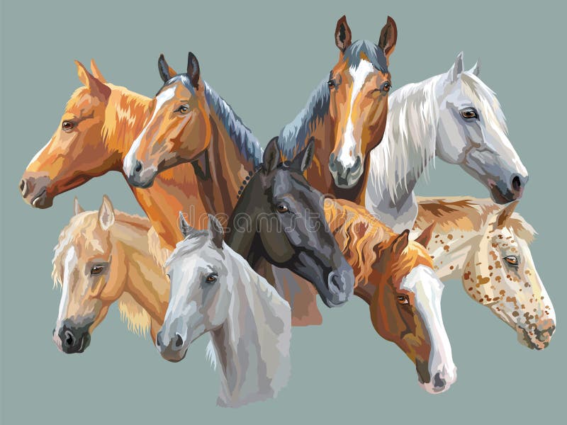 Ensemble De Races De Chevaux Illustration de Vecteur - Illustration du ...