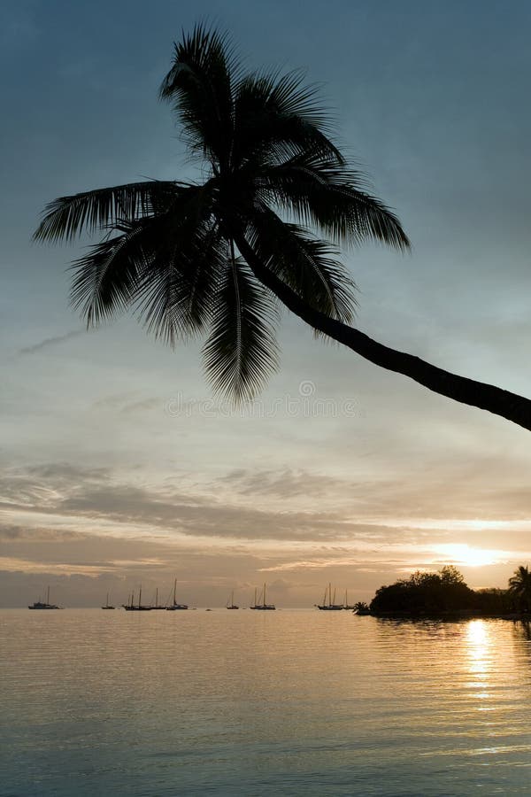 Ensenada Del Mosquete - Fiji Imagen de archivo - Imagen de tropical ...