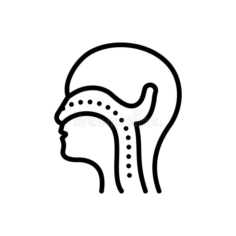 Rhinopharynx Stock Illustrations – 4 Rhinopharynx Stock Illustrations ...