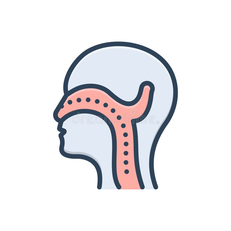 Color Illustration Icon for Ent, Larynx and Organ Stock Vector ...