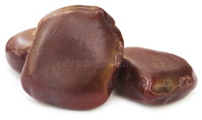 Entada Phaseoloides Stock Photos - Free & Royalty-Free Stock Photos ...