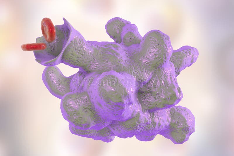 Entamoeba Histolytica Protozoon Stock Abbildung - Illustration von ...