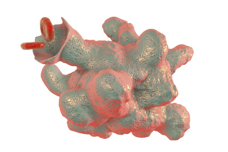 Entamoebahistolyticaprotozo Stock Illustrationer - Illustration av ...