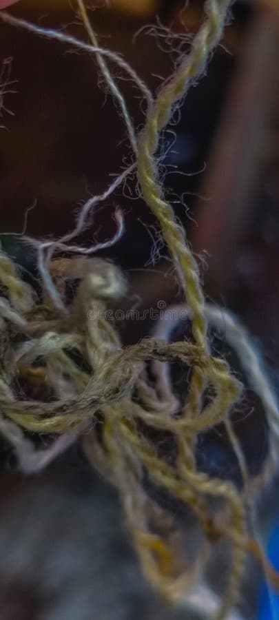 Entangled rope stock photo. Image of pattern, invertebrate - 202961838