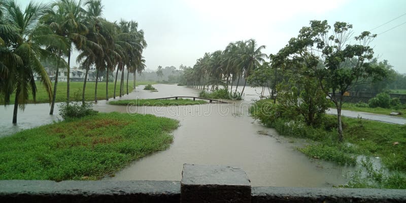 Ente gramam stock photo. Image of water, trees, rain - 160581836