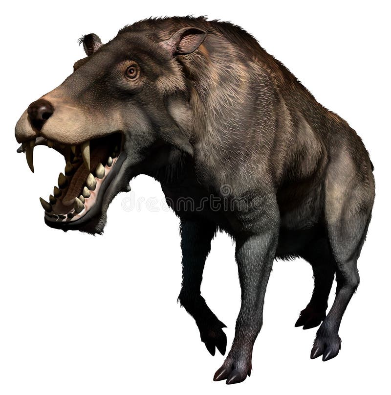 Entelodont
