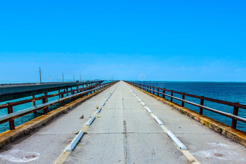 Entering the Seven Mile Bridge Stock Photo - Image of summer, matrathon ...