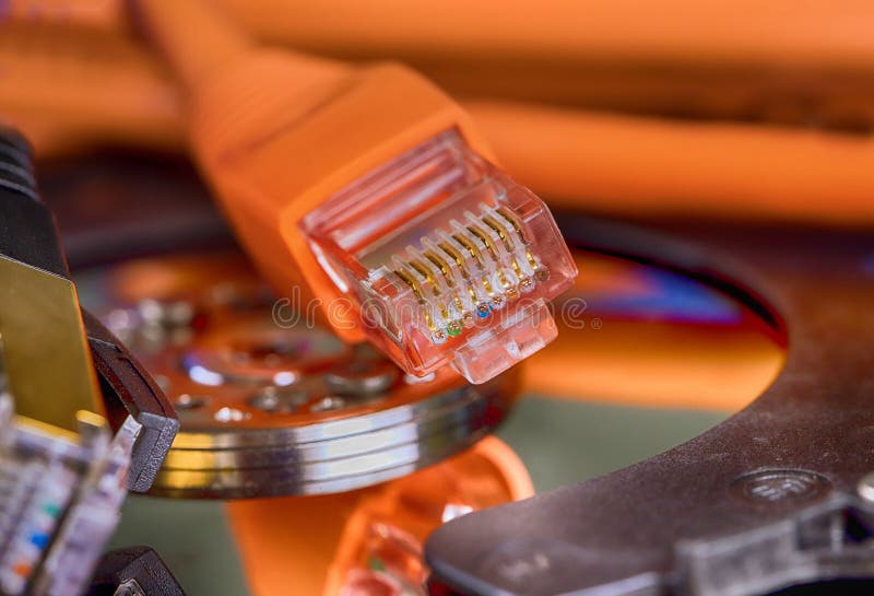 Selective Focus at Internet Network Cables Connected with Online ...