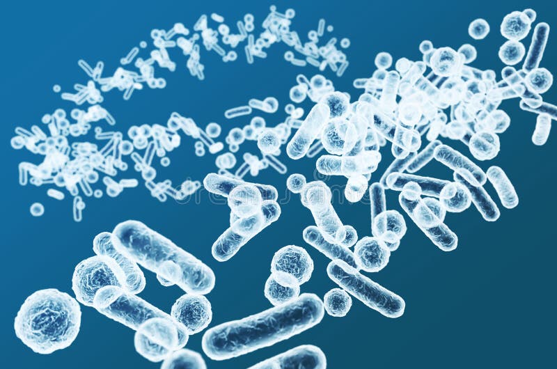 Enterobacteriaceae, Gram-negative Rod-shaped Bacteria Stock ...