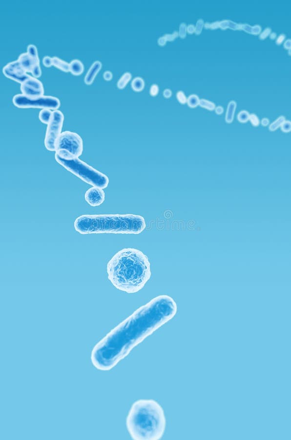 Rod-shaped Bacteria and Cocci Stock Illustration - Illustration of ...