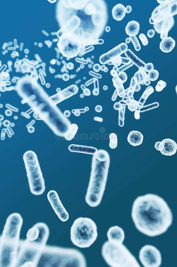 Enterobacteriaceae, Gram-negative Rod-shaped Bacteria Stock ...