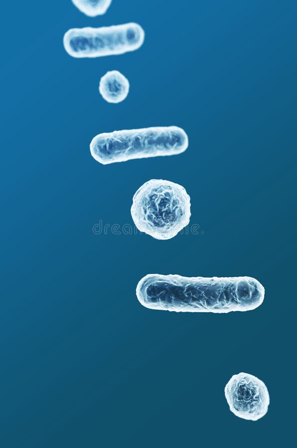 Rod-shaped Bacteria and Cocci Stock Illustration - Illustration of ...