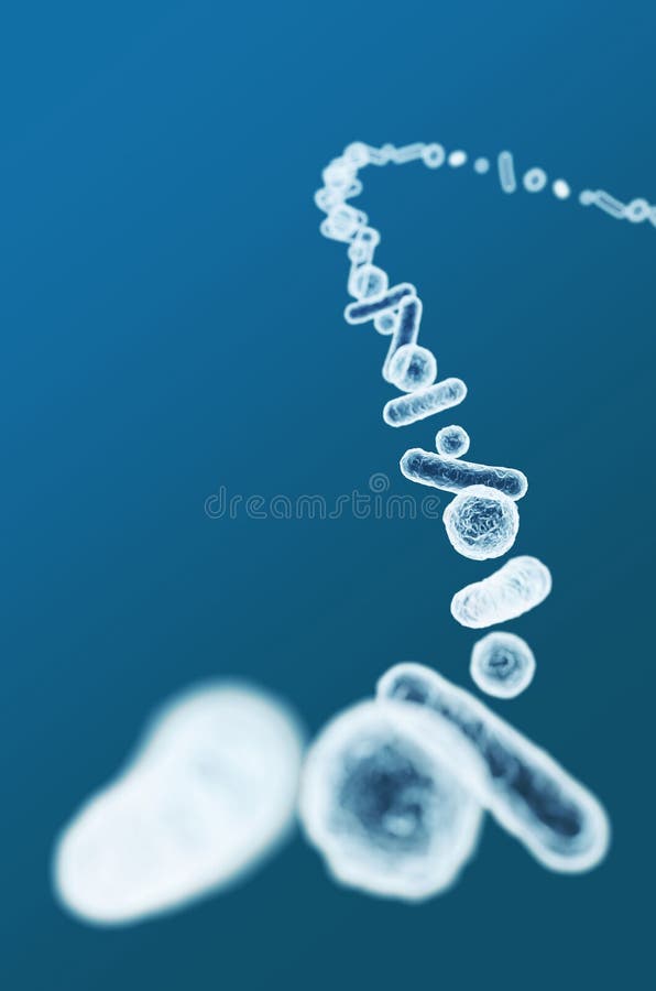 Rod-shaped Bacteria and Cocci Stock Illustration - Illustration of ...