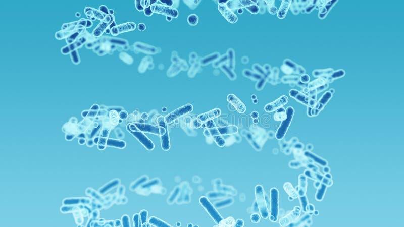 Enterobacteriaceae, Gram-negative Rod-shaped Bacteria Stock Video ...