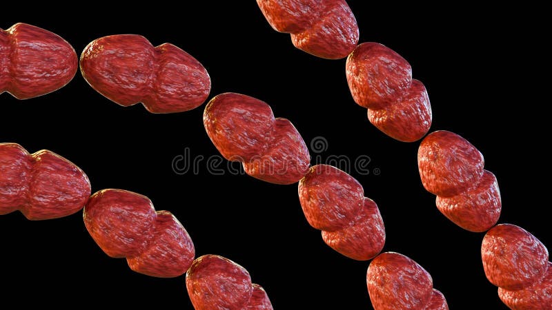 Enterococcus O Vre Enterococcus Faecalis Stock de ilustración ...